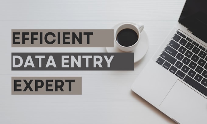 Complete data entry projects by Bessawahba | Fiverr