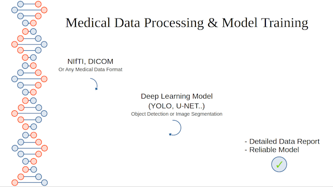 Do medical data processing and model training by Abrek_er | Fiverr