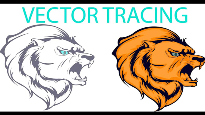 Do vector tracing, image to vector, logo vectorized, raster to vector ...