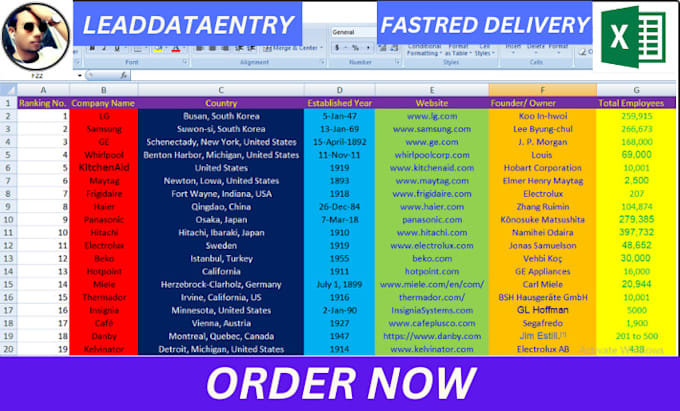 Do excel data entry, web research, data cleaning, copy paste by Leaddataentry | Fiverr