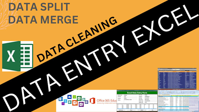 Do data entry, excel, clean, merge, split, organize leads big excel data files by Lead_excel99 ...