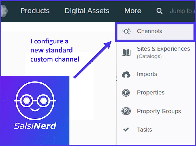 Setup your salsify standard templated channel by Salsifynerd | Fiverr