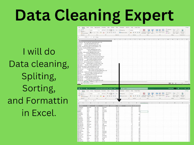 Do Data Entry Cleaning Sorting Formatting And Splitting By Shahmi7