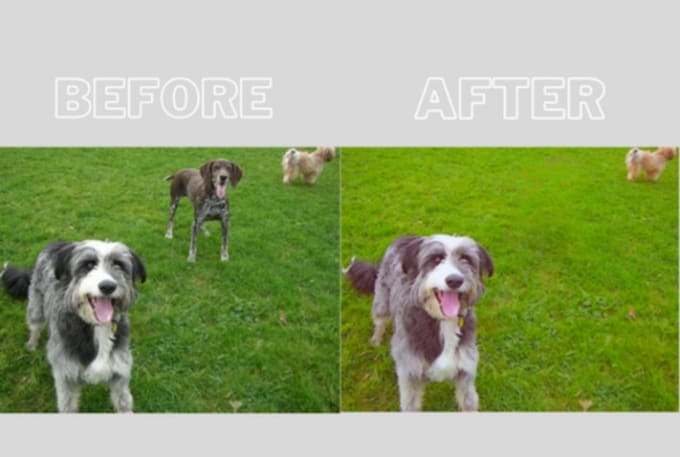 Retouching, background removing and any photoshop editing by ... Retouching, background removing and any photoshop editing by ...