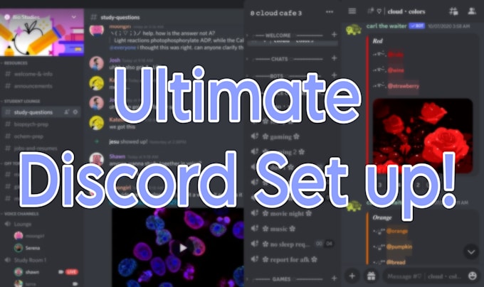 Create the ultimate discord hang out for all users by Itsdemia | Fiverr