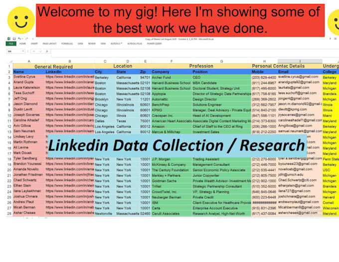 Do excel data cleaning, enter excel data, excel converosion, compile ...