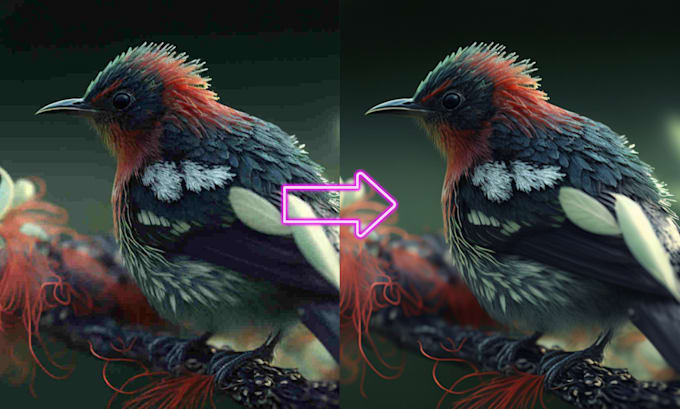 Upscale your images to 4x resolution with high quality results by ...