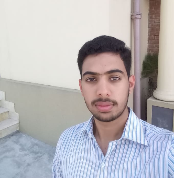 Make Front End Websites Using Html Css And Javascript By Qasimkhan819 Fiverr