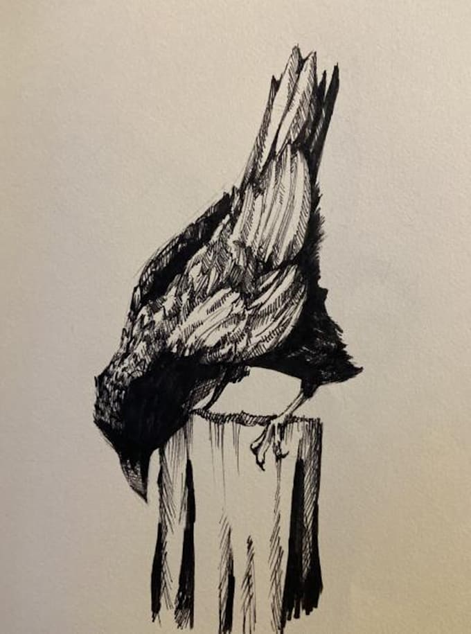 Draw a detailed and fully inked drawing of anything by Zepinku | Fiverr