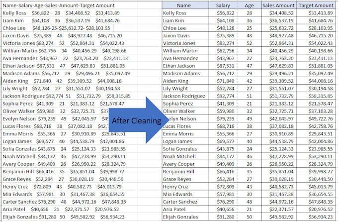 Clean, organizing raw data in excel into a usable format by Moudud19 | Fiverr