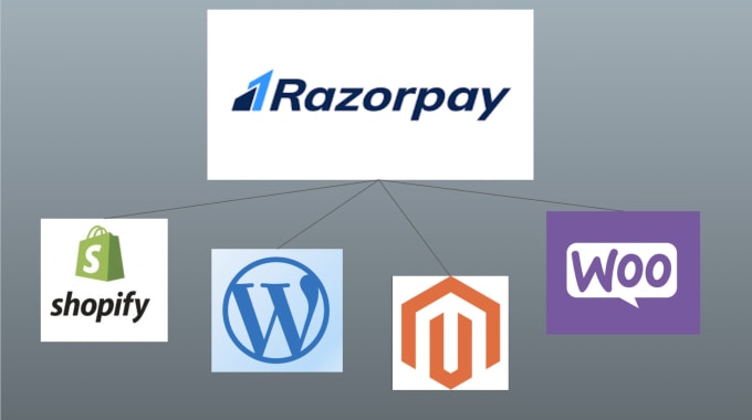 Integrate Razorpay Payment Gateway By Motatoes Fiverr