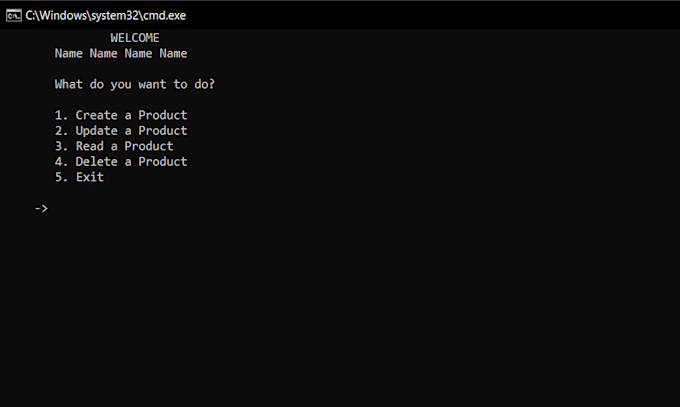 Crud system in c programming by Yungwo0odz | Fiverr