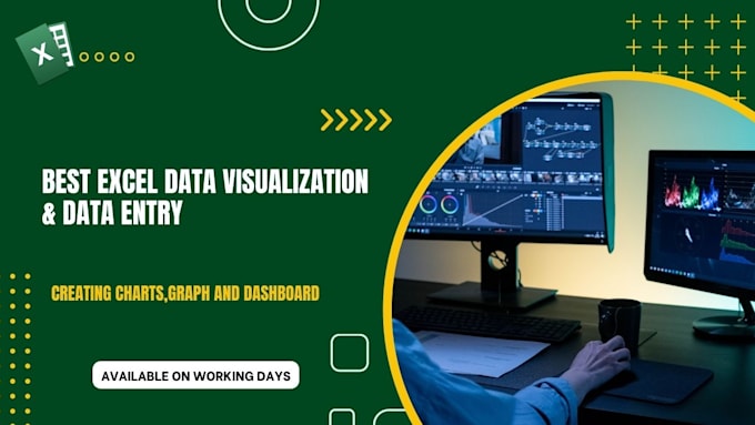 Best excel data visualization, data entry by Syedirtiza949 | Fiverr