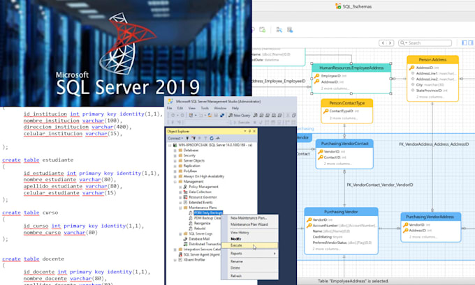 Do a database in sql server for you by Psyxiety | Fiverr