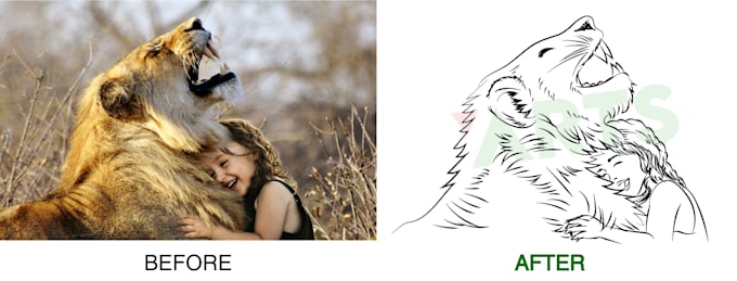 Draw simple vector cartoon style from any photos by Vearndegger | Fiverr