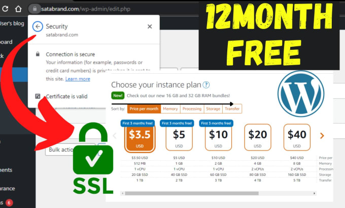Setup Or Host Your Wordpress In Aws Lightsail Plesk With Ssl By Ai Store Fiverr