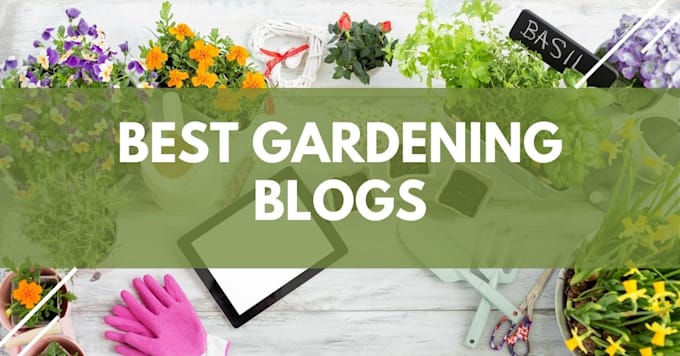 Write horticulture, kitchen gardening and landscape blogs by Kareymorah ...