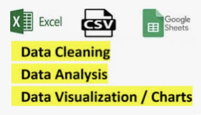 Do Excel Or Csv Data Cleaning Formatting Cleanup Remove Duplicates By Sonali777 Fiverr 1733