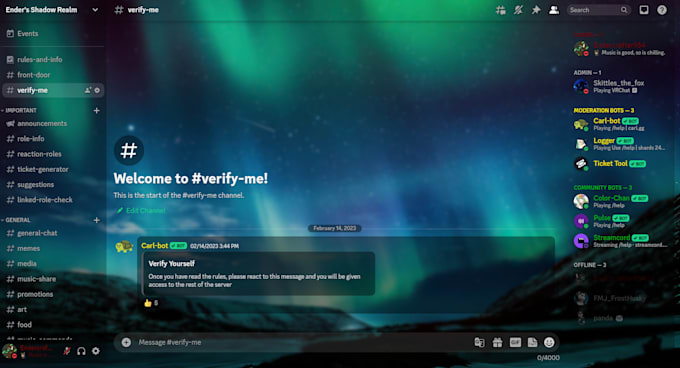 Help make discord servers by Endercrafter954 | Fiverr