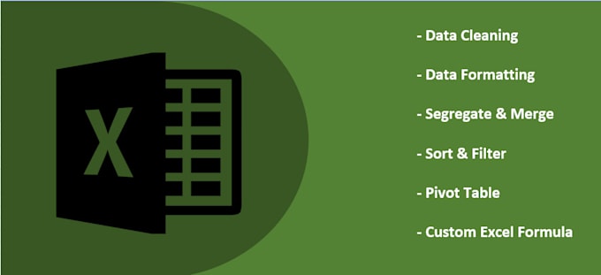 Clean Format And Organize Your Data Using Ms Excel By Thesankalp Fiverr