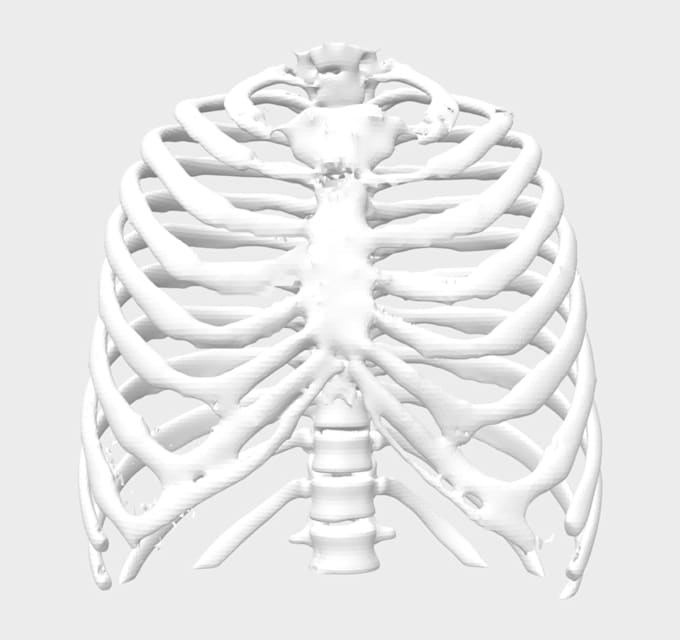 Here to offer best solutions for biomedical 3d model by Eng3dprint | Fiverr
