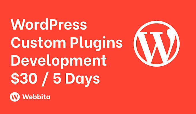 Create Custom Wordpress Plugins By Webbita Tech Fiverr