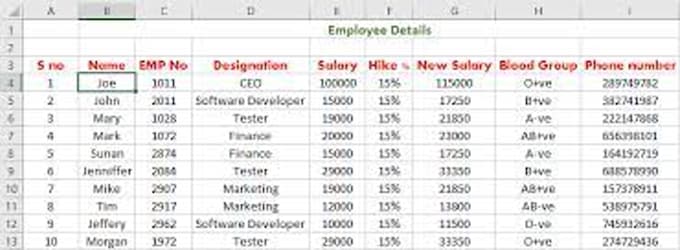 Do excel data cleaning ,excel data entry,excel data cleanup by Jayashankar_y | Fiverr