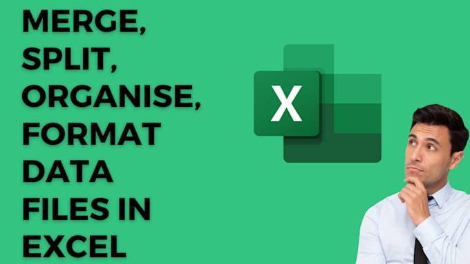 Do data entry, excel, clean, merge, split, organize big data files for you by Webhhh | Fiverr