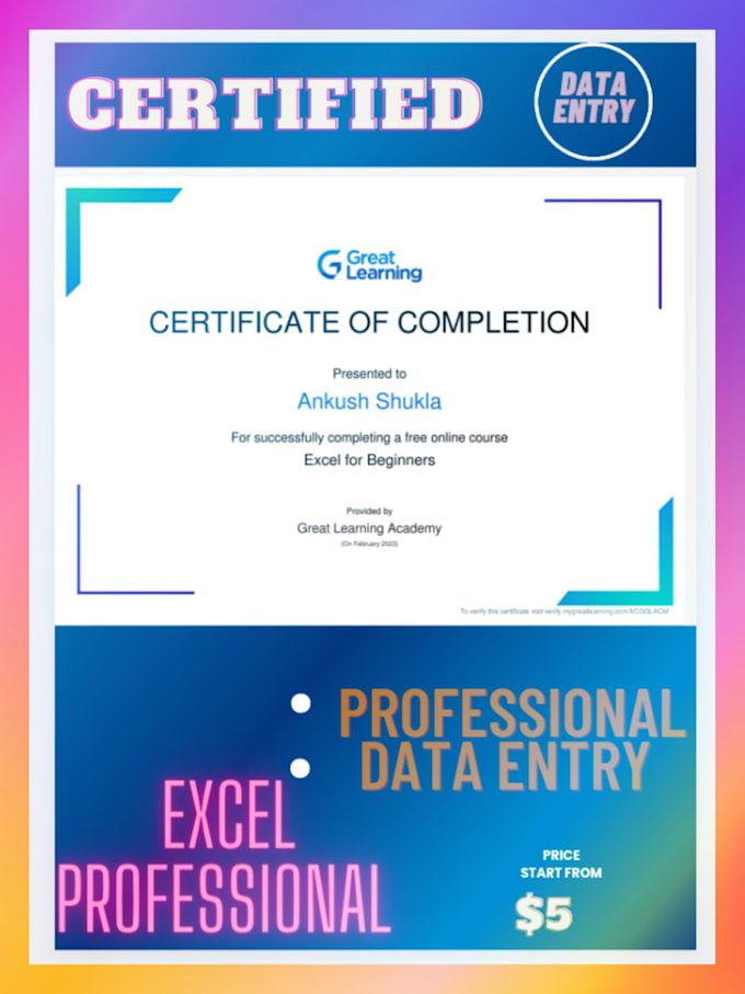 Certified data entry professional for you by Asbhaig6 | Fiverr