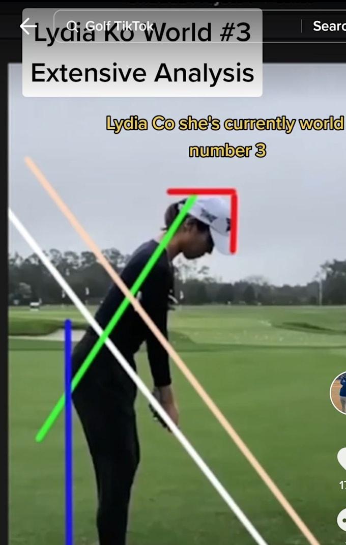 Help you with your golf game golf swing analysis and lessons by P_d ...