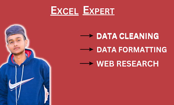 Do excel data entry data cleaning and formatting by Sudhanshuexcel | Fiverr