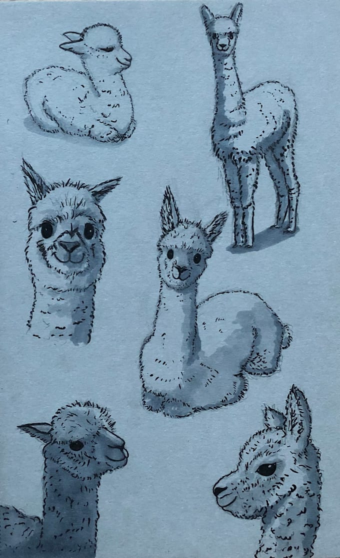Draw any animal in ink by Bdev_art | Fiverr