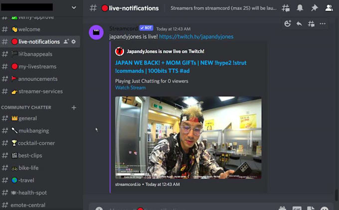 Make you a custom discord by Chrisadval | Fiverr