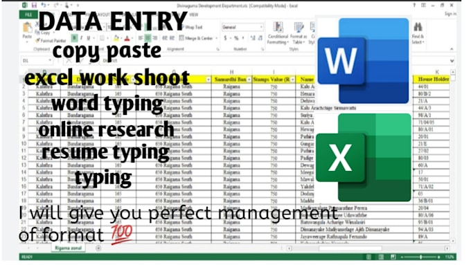 Do proper data entry, copy paste, resume writing, typing, excel, word data entry by Pro ...
