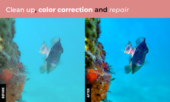 Clean up, color correct or repair any photo by Catacreator | Fiverr