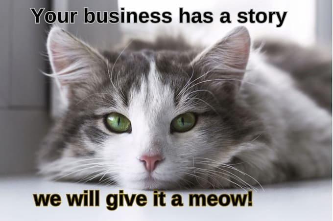 Create an engaging recording of your about story to elevate your brand by Storiz | Fiverr