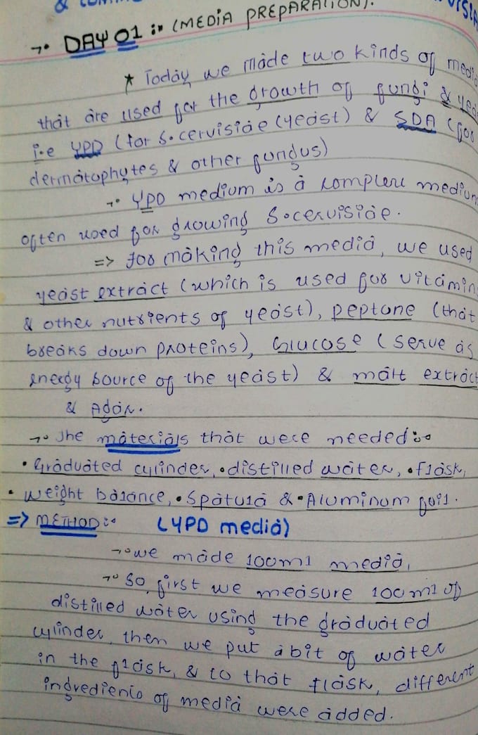 Write beautiful handwritten notes and assignments by Uroojamjad | Fiverr