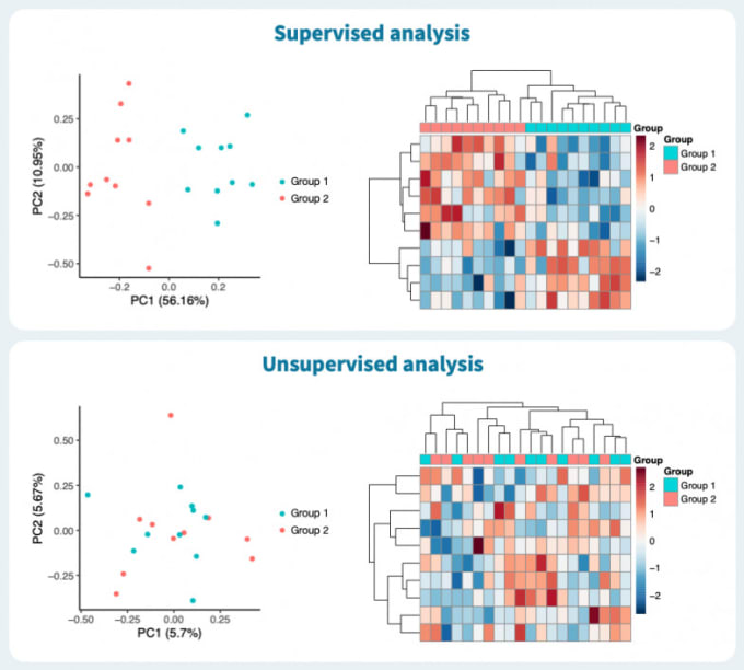 Analyze rna seq data for accurate gene expression profiling by Saifpbg ... Analyze rna seq data for accurate gene expression profiling by Saifpbg ...