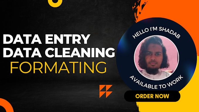 Data Entry Data Cleaning And Formatting By Theshadabmomin Fiverr