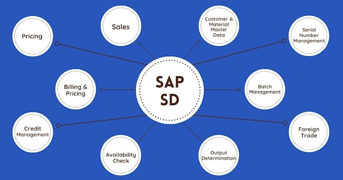 Help in sap sd end to end implementation by Nidhi_sap | Fiverr