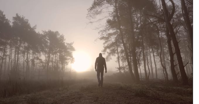 Remove bad looking objects from videos and photos by Ssotarkk | Fiverr