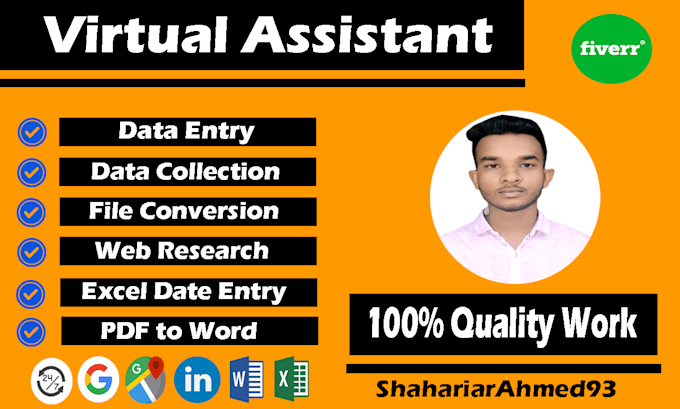 Be your professional virtual assistant for data entry by Shahariarahm93 ...
