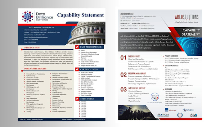 Create impactful capability statements to elevate your business by Naimatullah5 | Fiverr