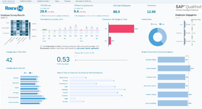 Develop standard dashboards on sap analytics cloud by Zeshanshafqat ...