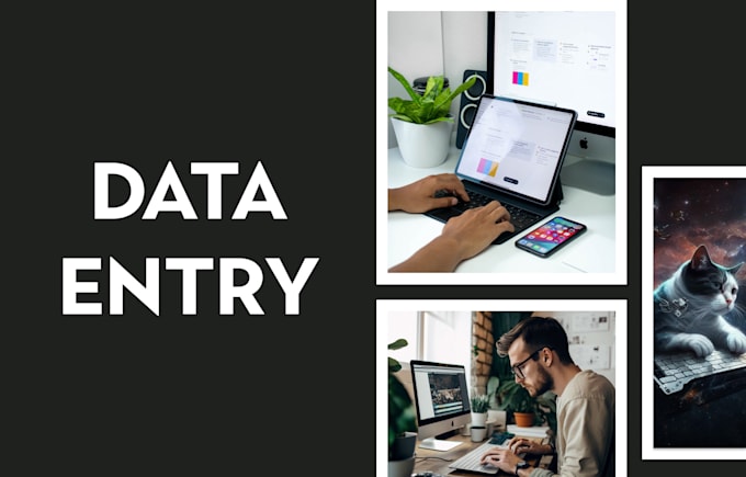 Do accurate data entry and record keeping by Mistlecrystal | Fiverr