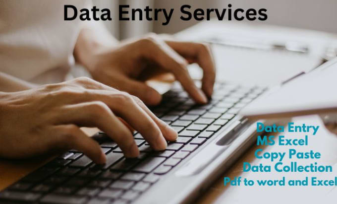 Do fast accurate data entry, copy paste by Shalu4may | Fiverr Do fast accurate data entry, copy paste by Shalu4may | Fiverr