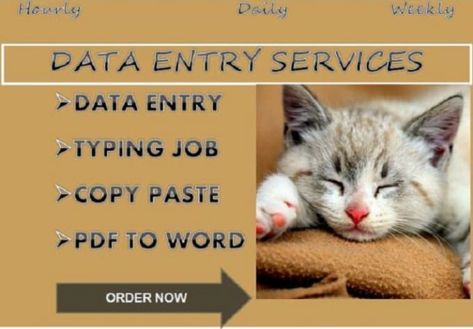 Do accurate data entry,copy paste works by Ramr95 | Fiverr Do accurate data entry,copy paste works by Ramr95 | Fiverr
