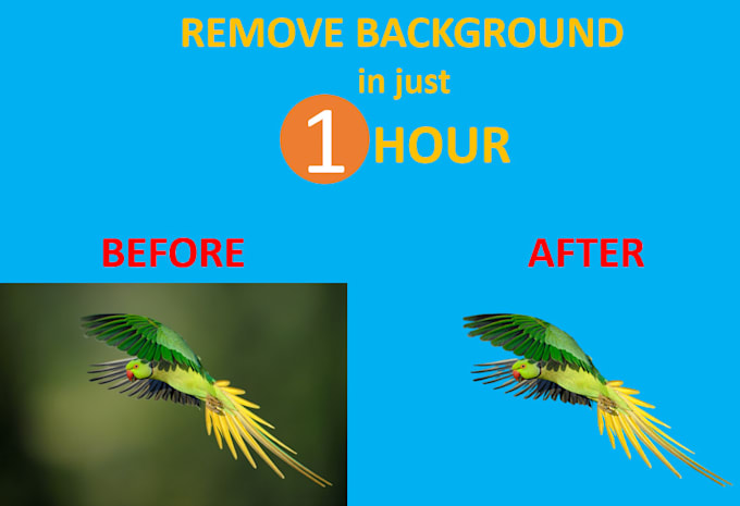 Remove your photos background immediately by Nandapradikta | Fiverr