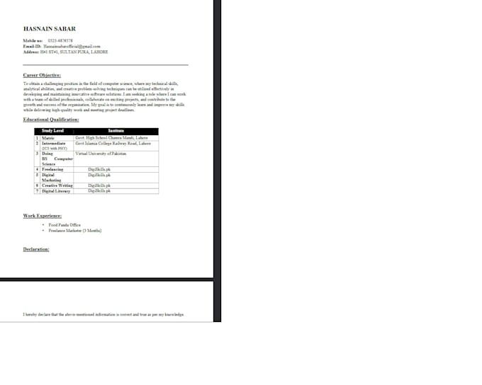 Make you a professional cv for your work by Hasnainsabar | Fiverr