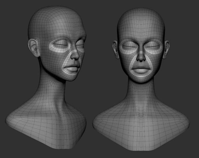 Rig 3d model, 3d character rigging in blender or maya, vtuber, vrchat ...